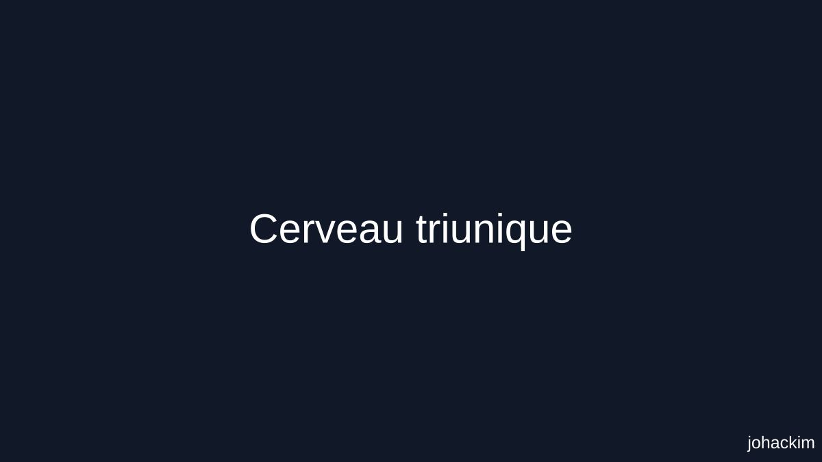 Cerveau triunique | Johackim - Hacker indépendant